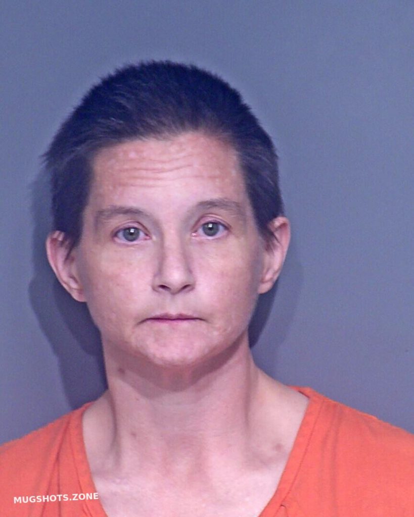 DENNIS ROBIN LYN 02/18/2025 - Baldwin County Mugshots Zone