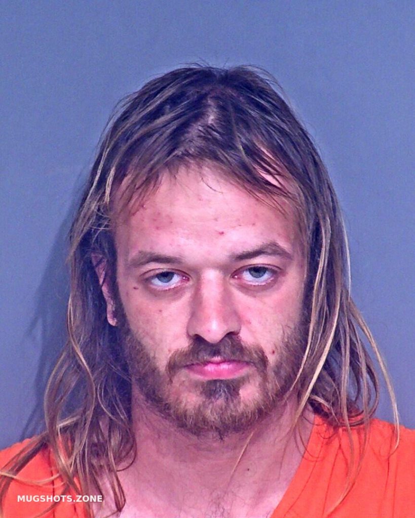 THAMES BARRY NATHANIEL 03/20/2025 - Baldwin County Mugshots Zone