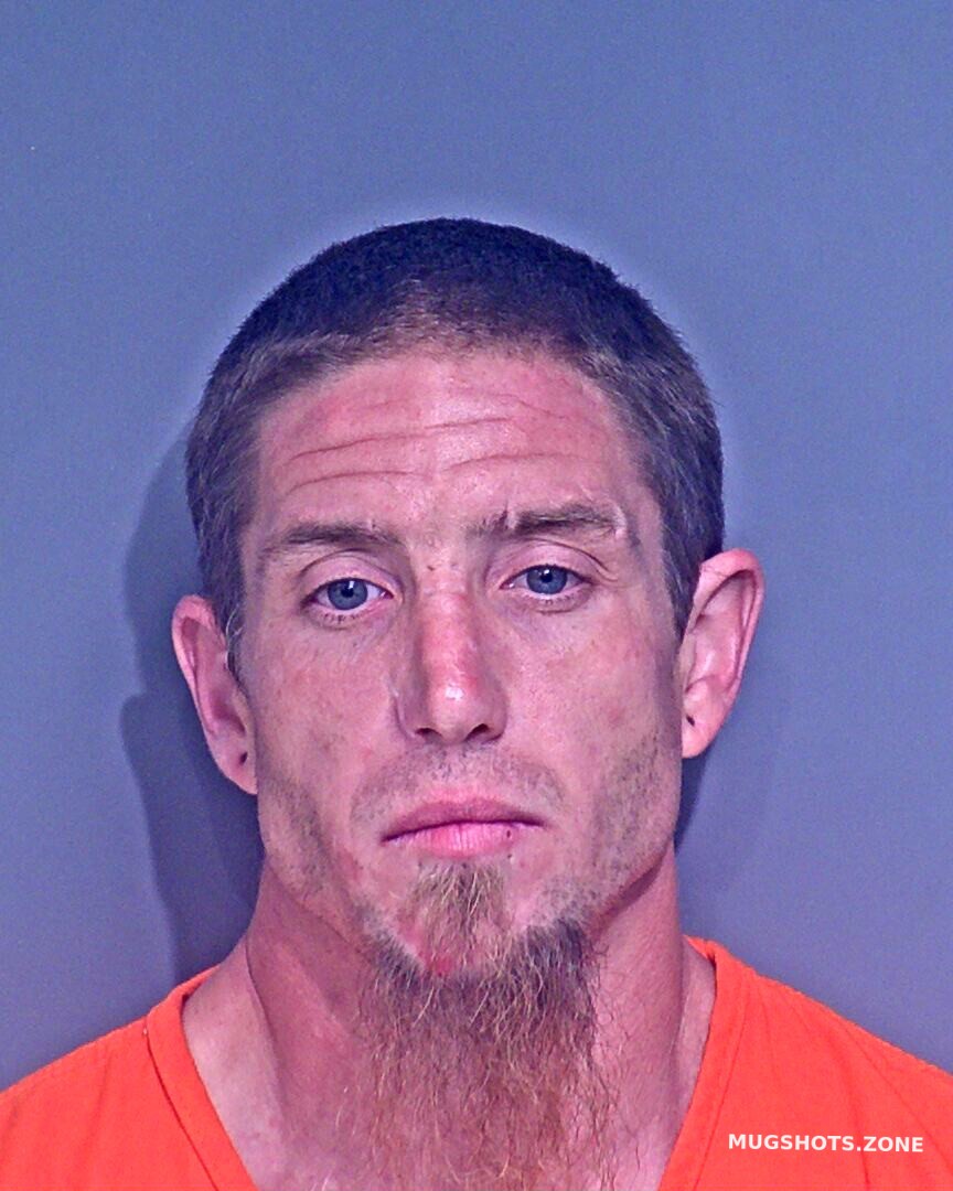 ANDERSON CHRISTOPHER DEWAYNE 03/26/2025 - Baldwin County Mugshots Zone