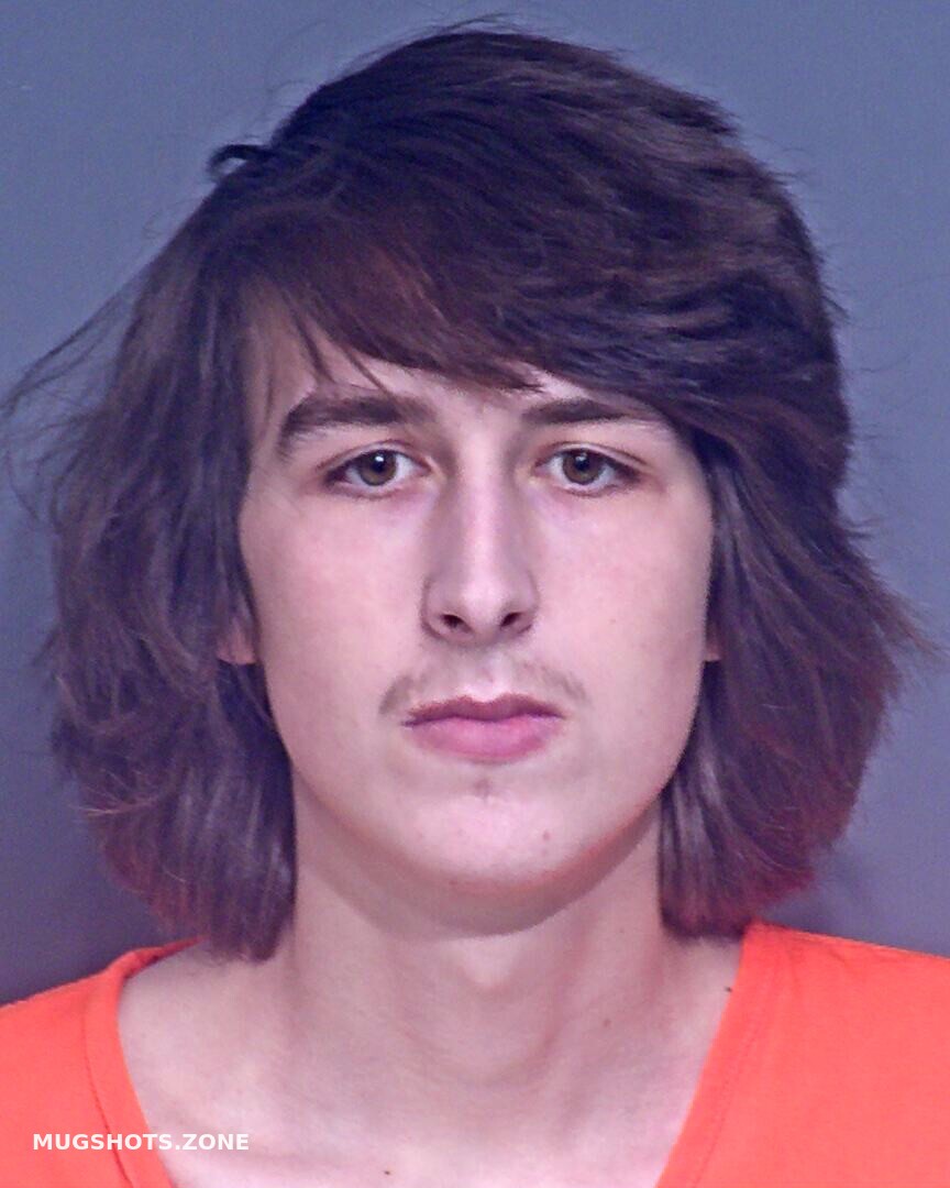 GIBSON GREGORY ZANE 04/02/2025 - Baldwin County Mugshots Zone