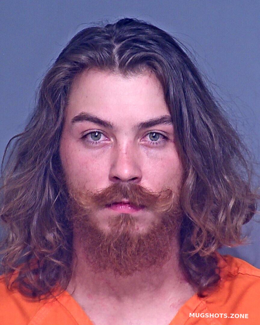 EDWARDS AARON ELON 04/03/2025 - Baldwin County Mugshots Zone