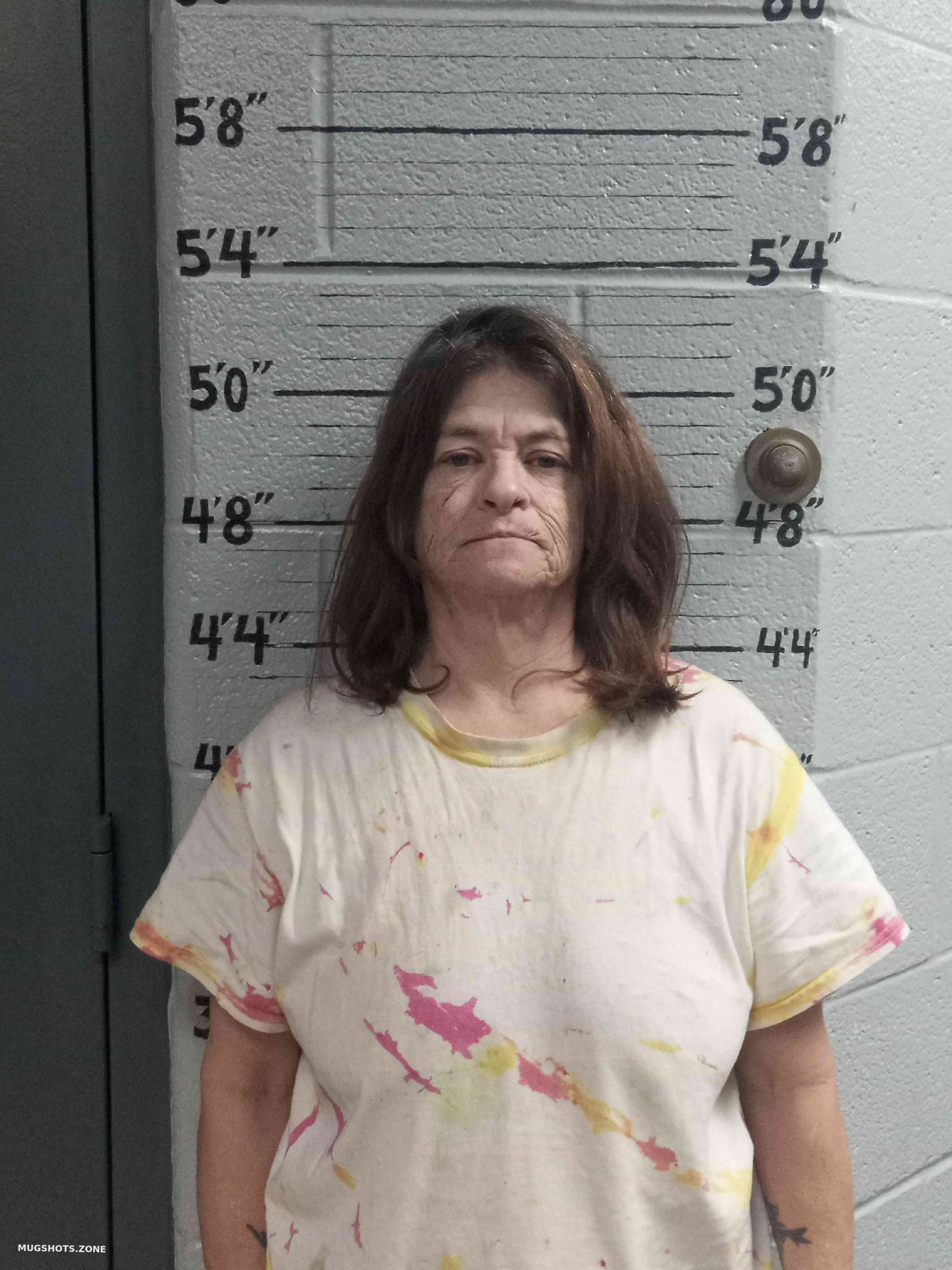 BROWN CANDY 02/19/2025 - Ballard County Mugshots Zone