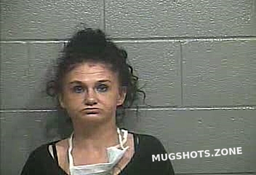 WHITLOW LESLIE ANN 02/12/2021 - Barren County Mugshots Zone