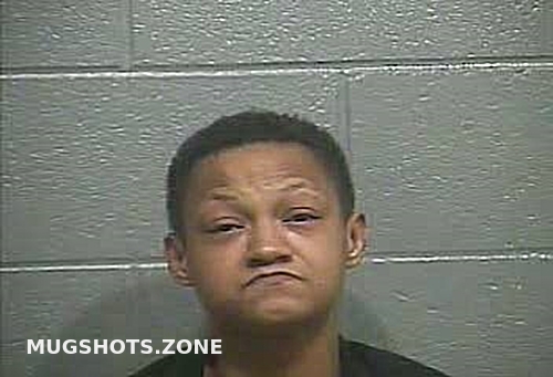 WILLARD AMBER NICOLE 03/13/2021 - Barren County Mugshots Zone