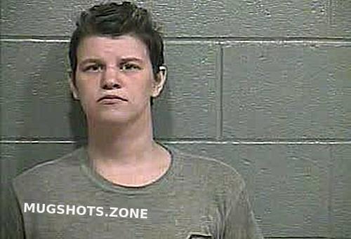 CROWE AMBER NICOLE 03/29/2024 - Barren County Mugshots Zone