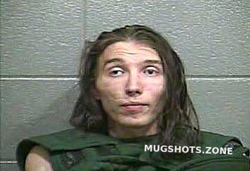 PAYTON CHRISTIAN ALLAN 07/29/2024 - Barren County Mugshots Zone