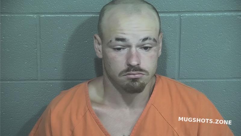 PITCOCK WILLIAM AARON 07/18/2025 - Barren County Mugshots Zone