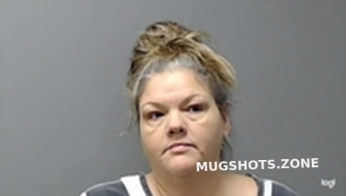 RENEE JEAN VEAL 02/13/2022 - Baxter County Mugshots Zone