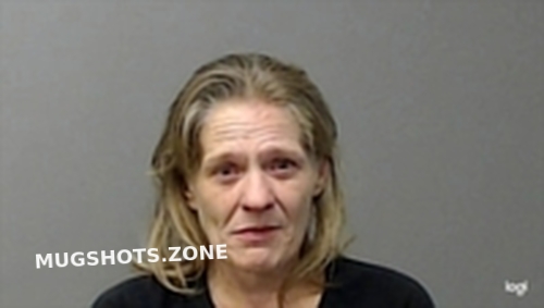 MICHELLE LYNN FOUTS 10/23/2022 - Baxter County Mugshots Zone