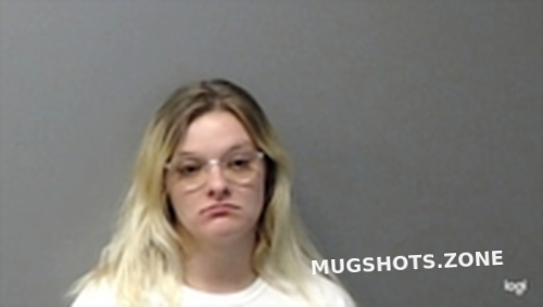 DESTINY DAWN REASONS 03/06/2023 - Baxter County Mugshots Zone