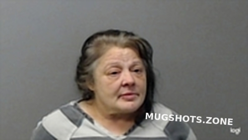 Tommie Jo Pearson 03 25 2023 Baxter County Mugshots Zone