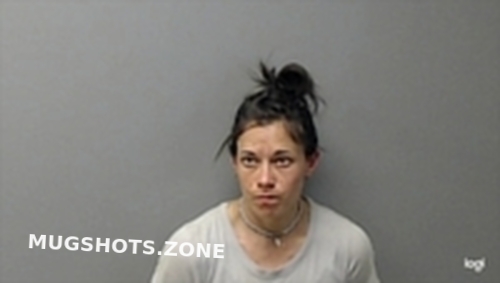 LILLIAN CARMEL PERRY 04/25/2023 - Baxter County Mugshots Zone