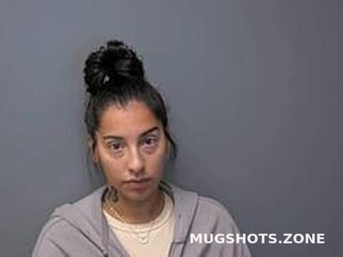 CRYSTAL E NEAL 09/23/2023 - Baxter County Mugshots Zone