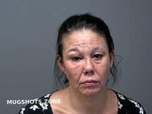 GINA MARIE ESUMI LOWRIE 08/02/2024 - Baxter County Mugshots Zone