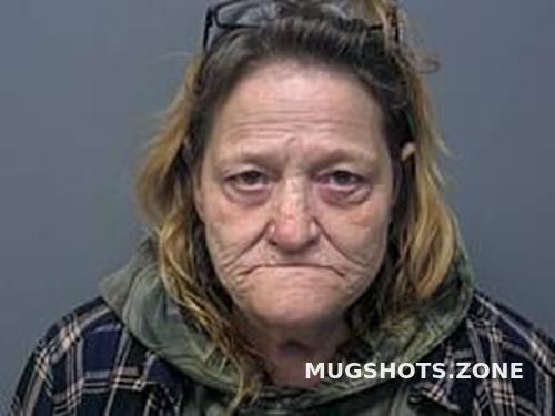 SUNNY SUZANNE MILLER 10/08/2024 - Baxter County Mugshots Zone