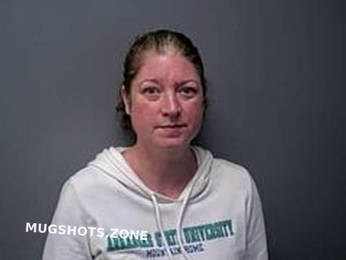 JENNIFER REBECCA ANGLIN 01/04/2025 - Baxter County Mugshots Zone