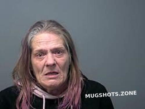 MICHELLE LYNN FOUTS 01/21/2025 - Baxter County Mugshots Zone