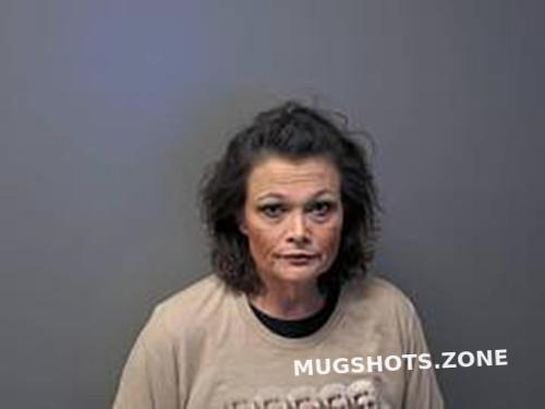 LISA MARIE HOUGH 04/06/2025 - Baxter County Mugshots Zone