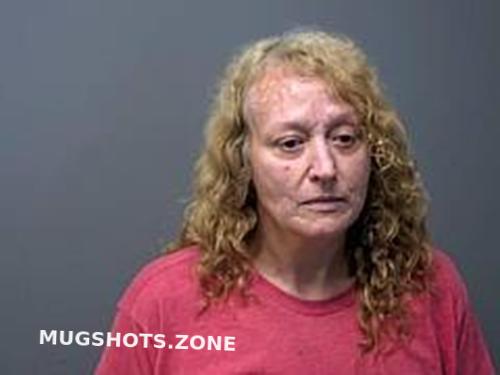 FEATHER LYNN THOMPSON 05/22/2025 - Baxter County Mugshots Zone