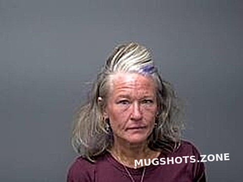SEAMAN AMANDA M 11/11/2025 - Baxter County Mugshots Zone