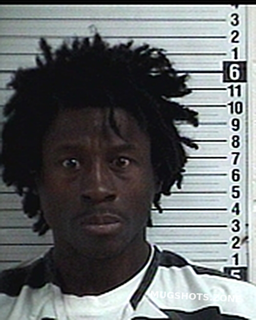 HARDISON CHRISTOPHER MICHAEL 11/02/2022 - Bay County Mugshots Zone