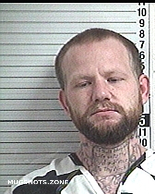 DUKE COY JAMES 11/08/2022 - Bay County Mugshots Zone