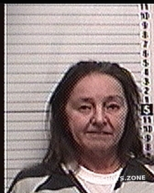 DADDIO SANDRA SUSAN 11/13/2022 - Bay County Mugshots Zone