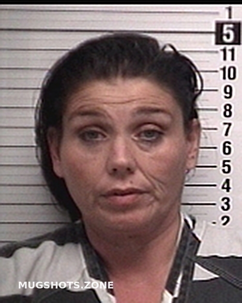 DOWNING NICHOLE MARIE 11/14/2022 - Bay County Mugshots Zone