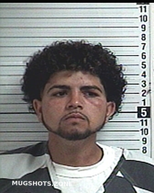 VIZCARRONDO-RIVERA JUAN LUCAS 11/17/2022 - Bay County Mugshots Zone