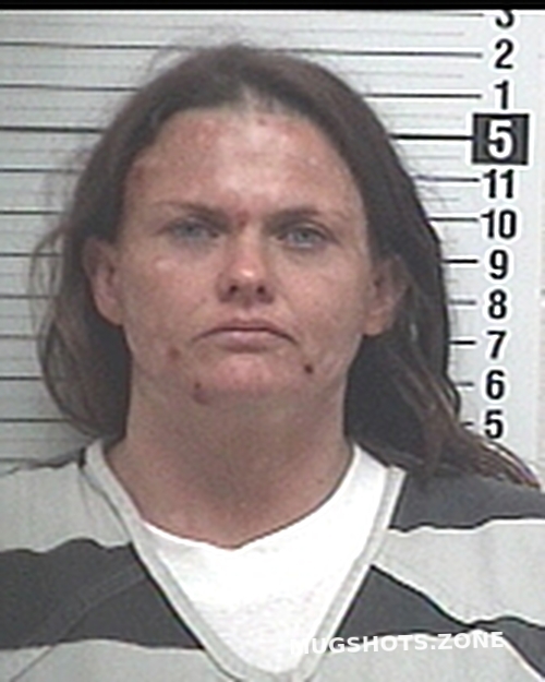 SKIPPER BRANDY SUE 11/22/2022 - Bay County Mugshots Zone