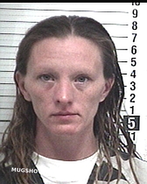 BABB JESSICA CHRISTIE STARR 12/03/2022 - Bay County Mugshots Zone