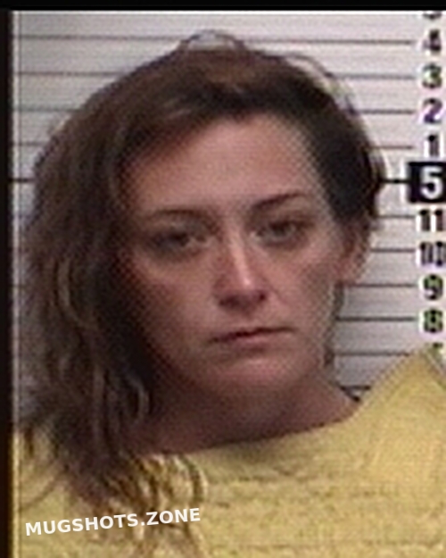 Phillips Brandy Renee 12 17 2022 Bay County Mugshots Zone