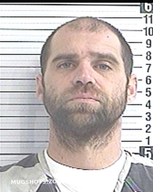 HOLLOMAN ANTHONY LEE 12/20/2022 - Bay County Mugshots Zone
