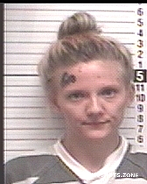 NICKODAM SARAH BETH 01/01/2023 - Bay County Mugshots Zone