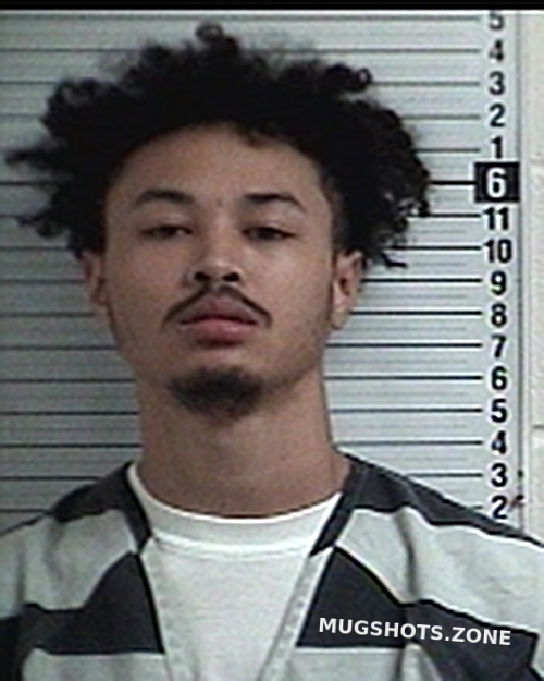 SMILEY TYWAN FITZGERALD JR 01/06/2023 - Bay County Mugshots Zone