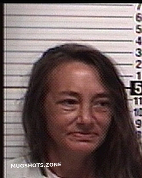 TRAWICK DAWN MICHELE 01/23/2023 - Bay County Mugshots Zone