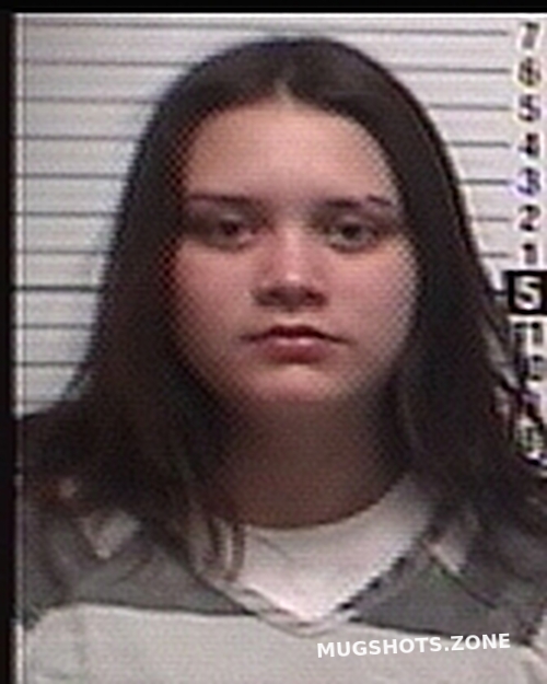 ARMSTRONG AIYANA KAYLIN 02/16/2023 - Bay County Mugshots Zone