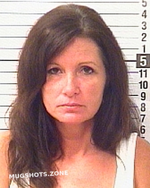 PLUMMER CHERYL ANN 02/19/2023 - Bay County Mugshots Zone