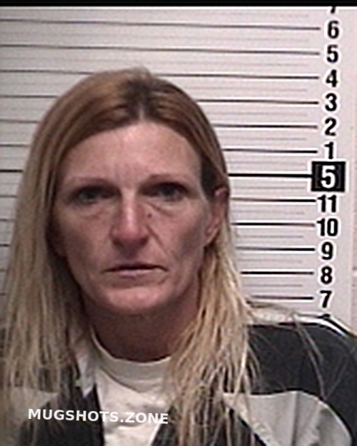 COPELAND TRACY JEAN 02/22/2023 - Bay County Mugshots Zone