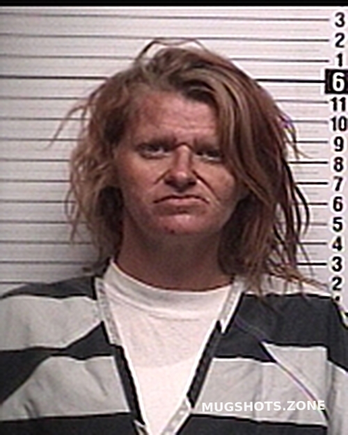 DICKENS TASHA NICOLE 02/23/2023 - Bay County Mugshots Zone