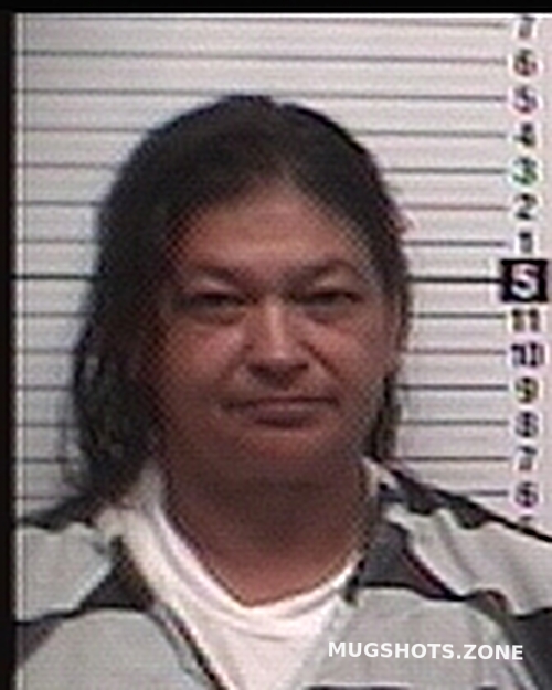 SAPP TRACY MILLETTE 03/01/2023 - Bay County Mugshots Zone