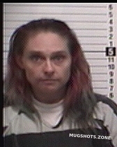 DAILEY JESSICA MONEYMAKER 03/02/2023 - Bay County Mugshots Zone