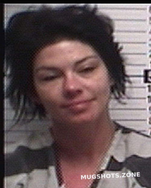 JONES TIFFANY RENEE 03/03/2023 - Bay County Mugshots Zone