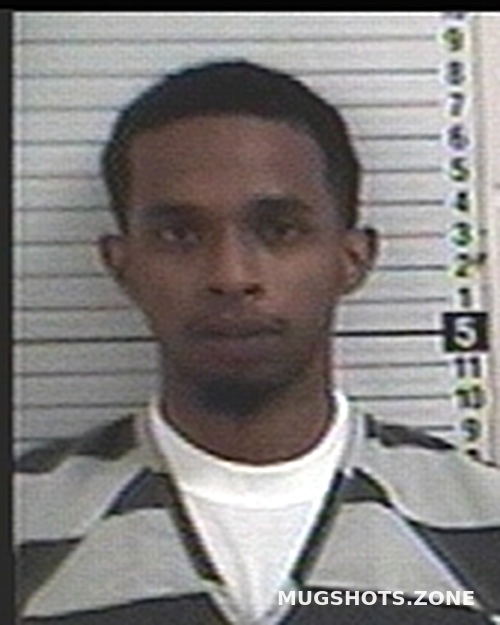 LOWERY-JOHNSON JAMES GIOVANNI 03/11/2023 - Bay County Mugshots Zone