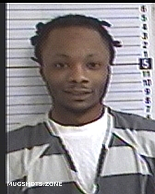 OLLISON DERECK DEON 03/12/2023 - Bay County Mugshots Zone