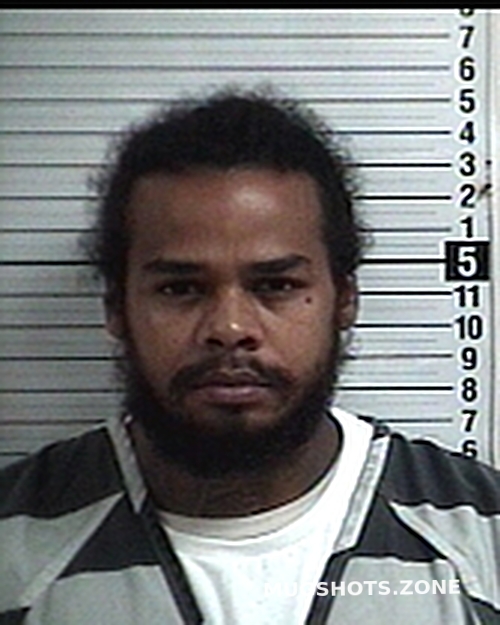 MALDONADO ANGELO SEAN JR 03/12/2023 - Bay County Mugshots Zone