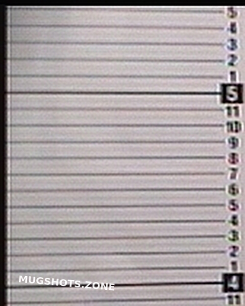 BELLFLOWER KAYLA MARIE 03/14/2023 - Bay County Mugshots Zone