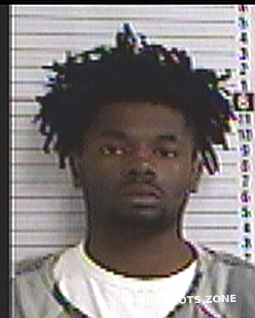 BILLUPS CAMERON ALEXANDER 03/15/2023 - Bay County Mugshots Zone