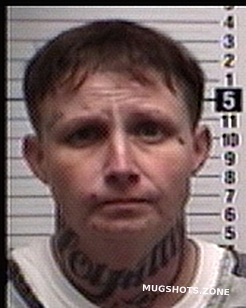 HARSHMAN SARAH ASHLEY 03/16/2023 - Bay County Mugshots Zone