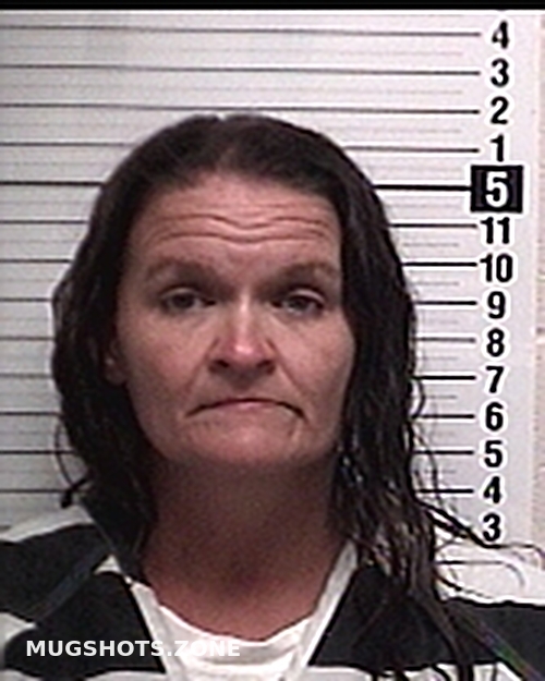 DEESE LISA MARIE 03/24/2023 - Bay County Mugshots Zone